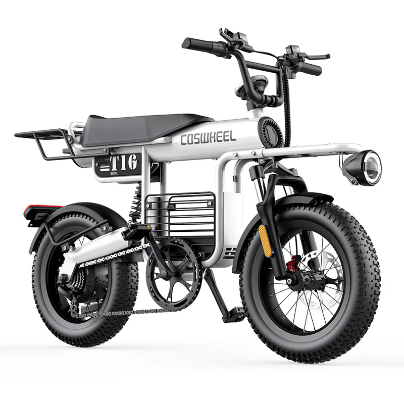 COSWHEEL T16 -15AH 120km續航