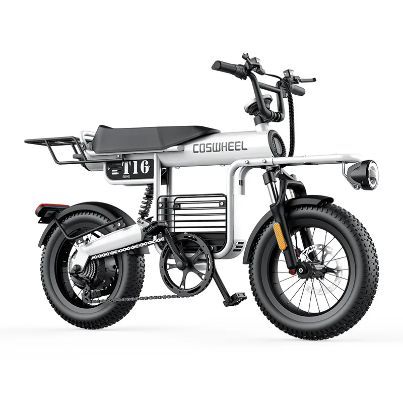 COSWHEEL T16 - 25AH 170km續航